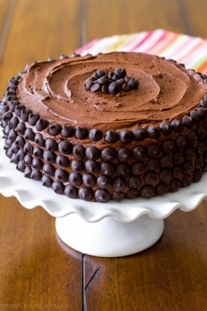 Chocolate Layer Cake (Popular Recipe!) - Sally's Baking
