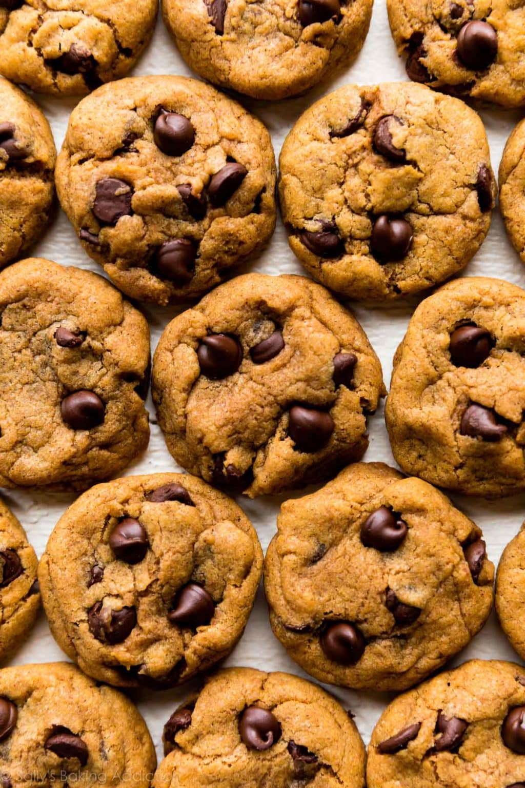Cookie Recipes - Sally's Baking