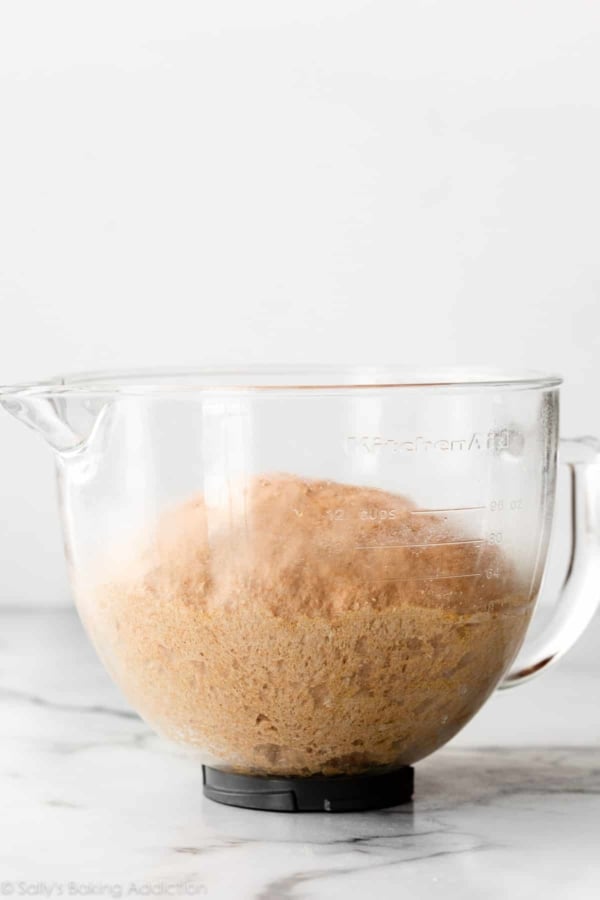 Whole Wheat Pizza Dough Recipe - Sally's Baking