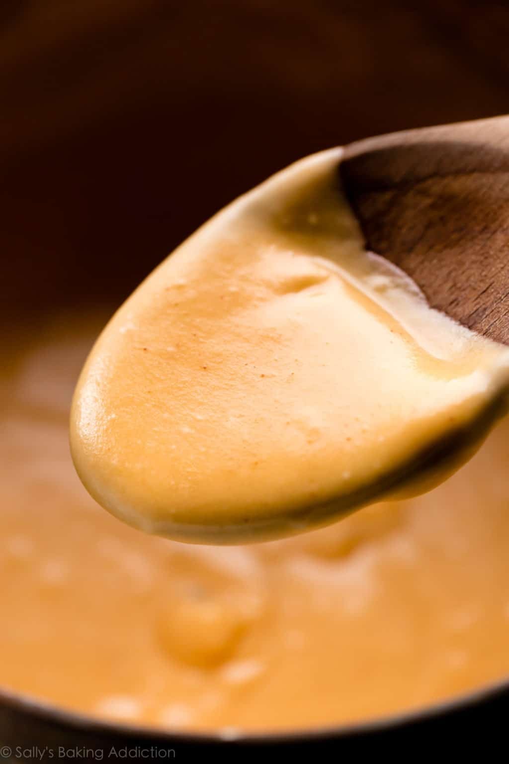 Spicy Nacho Cheese Sauce - Sally's Baking