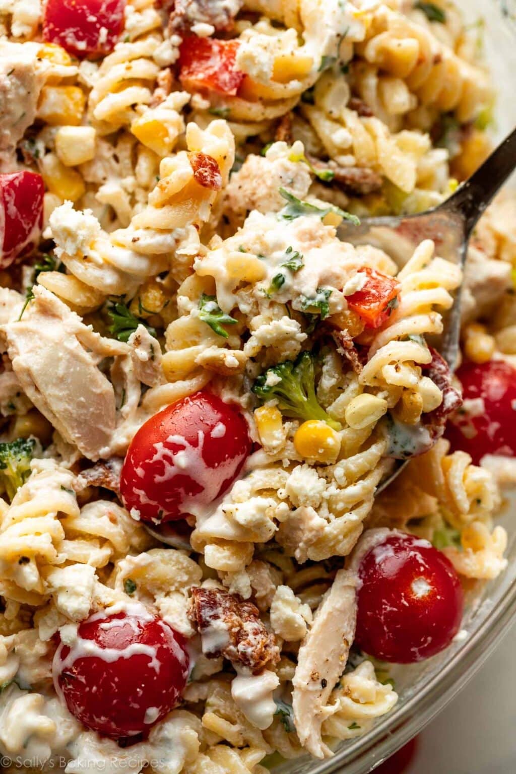 Chicken Pasta Salad (with Creamy Greek Yogurt Dressing) - Sally's Baking