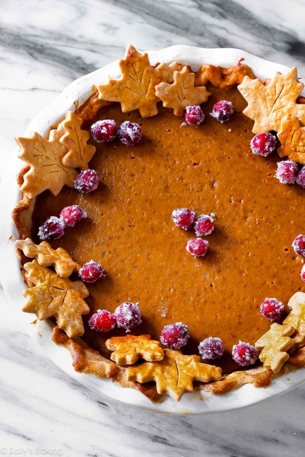 40+ Thanksgiving Pie Recipes - Sally's Baking