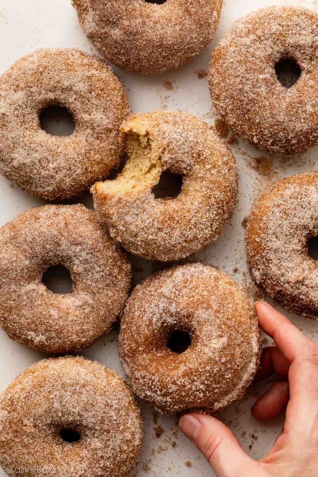 Donuts - Sally's Baking