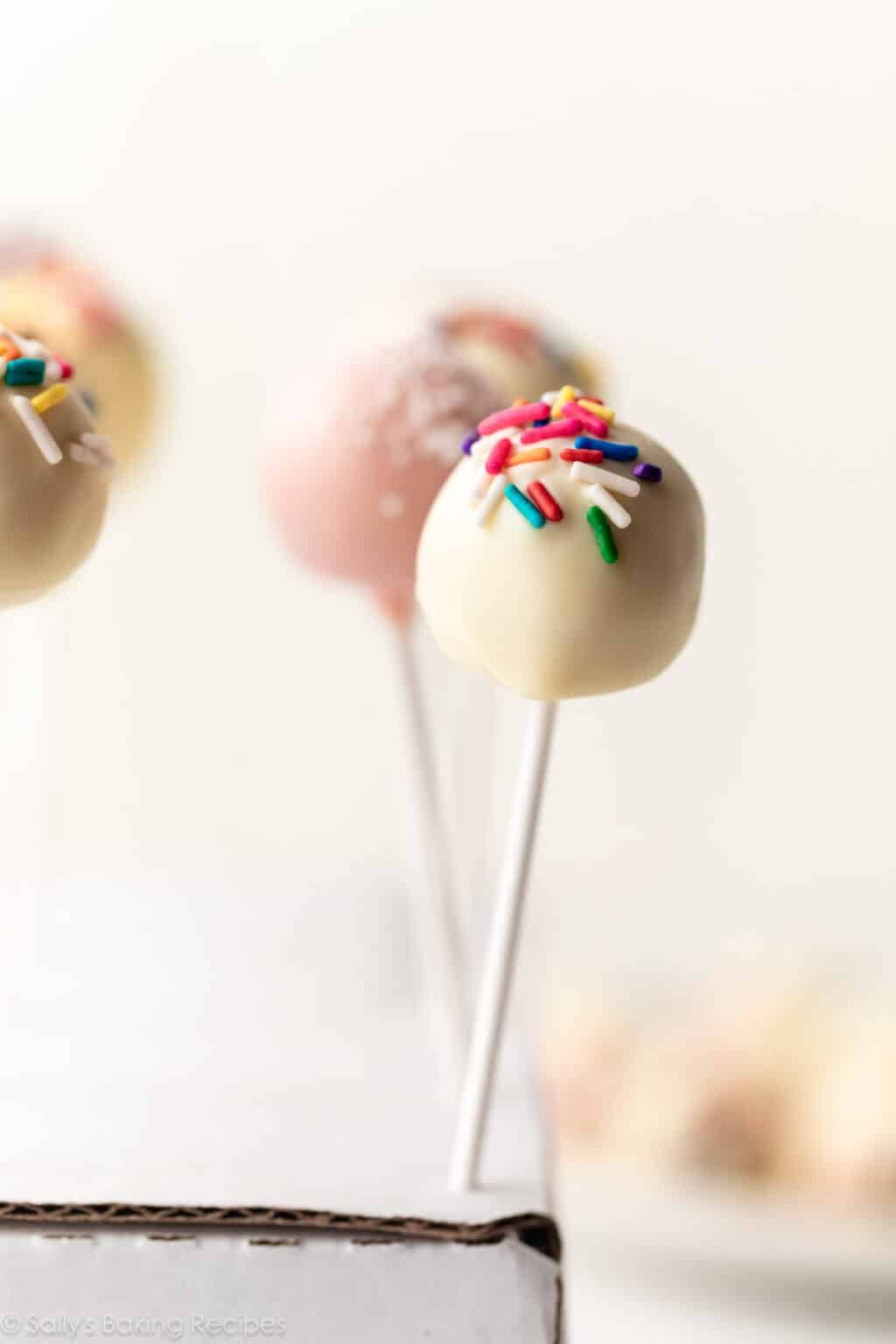 Homemade Cake Pops - Sally's Baking