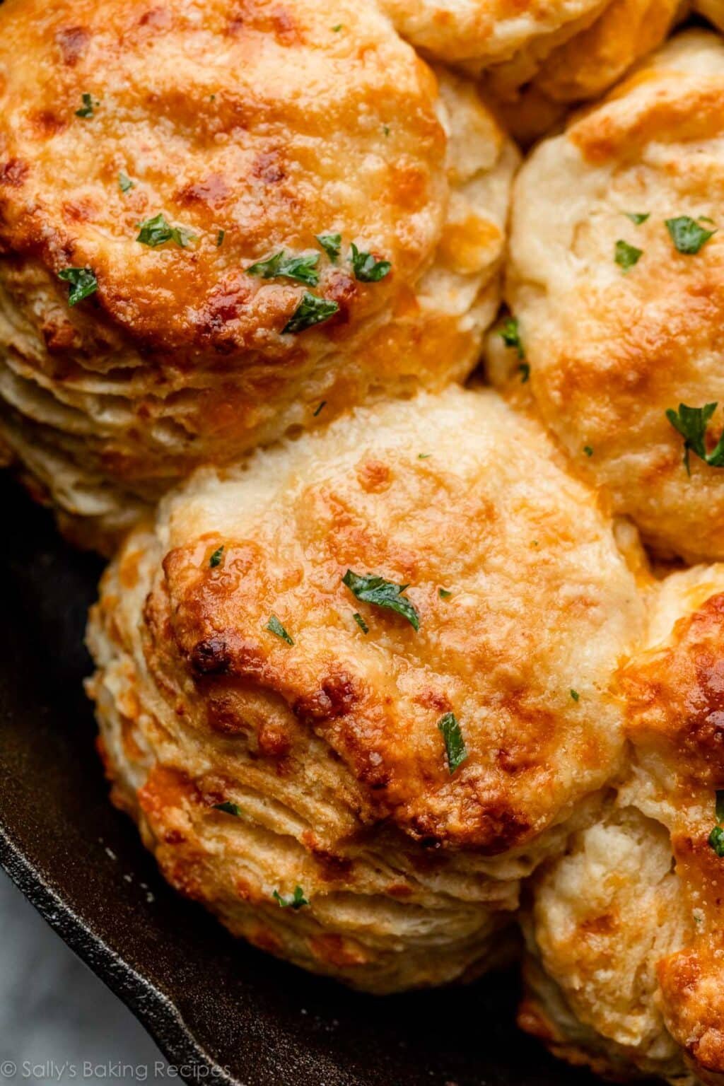 Cheddar Biscuits (Like Red Lobster) - Sally's Baking