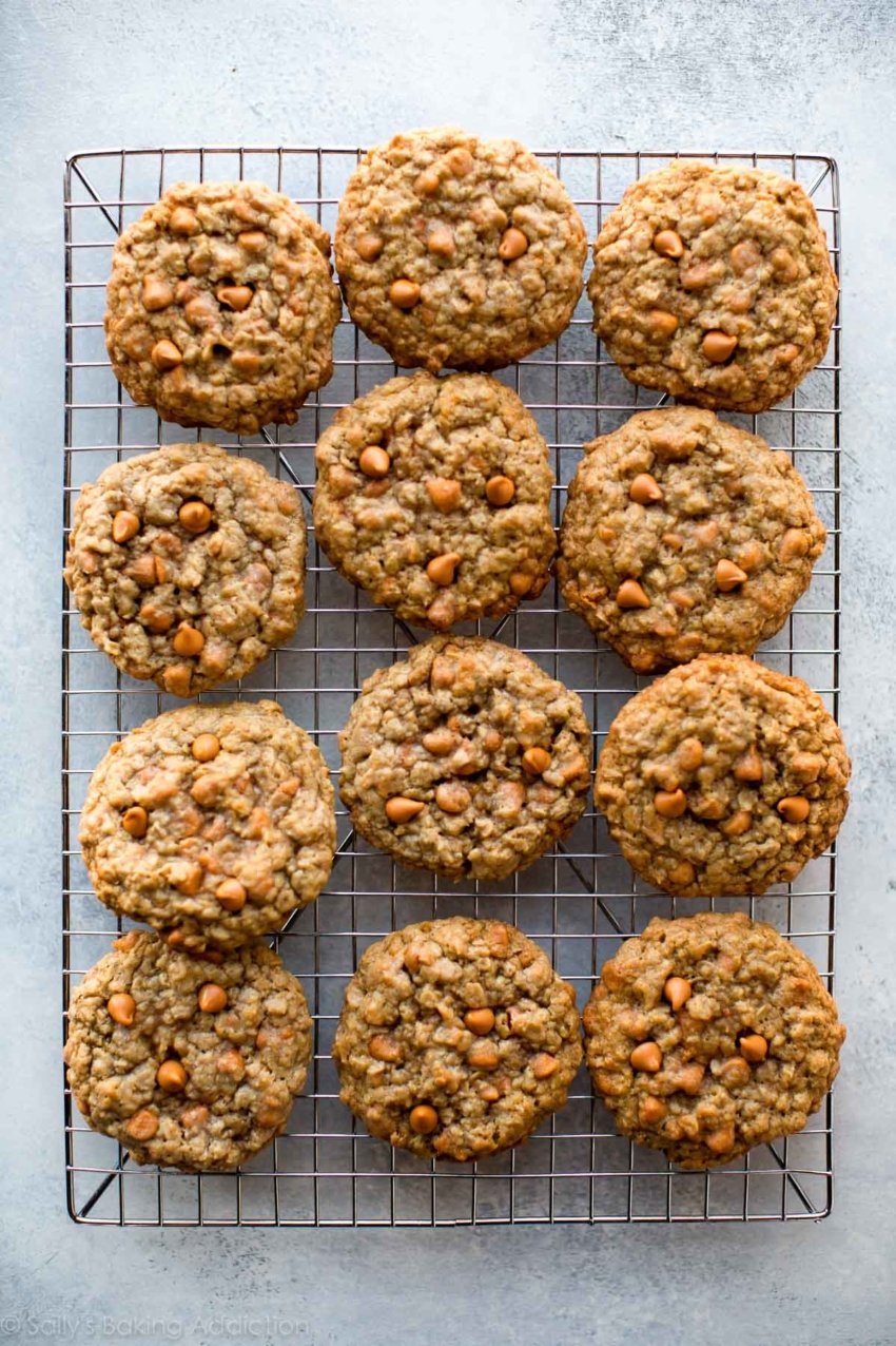 Soft & Chewy Oatmeal Scotchies - Sally's Baking