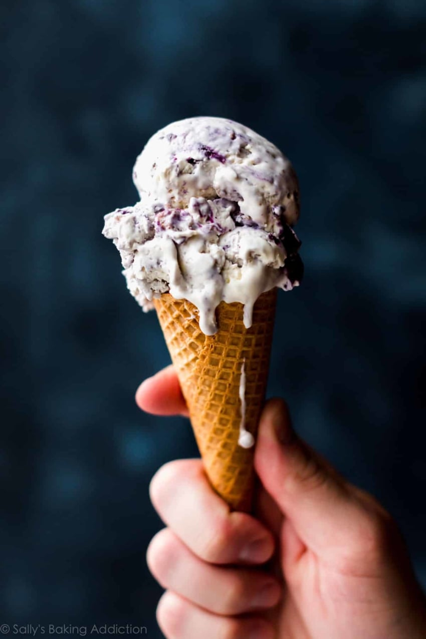 Blueberry Crumble Ice Cream - Sally's Baking