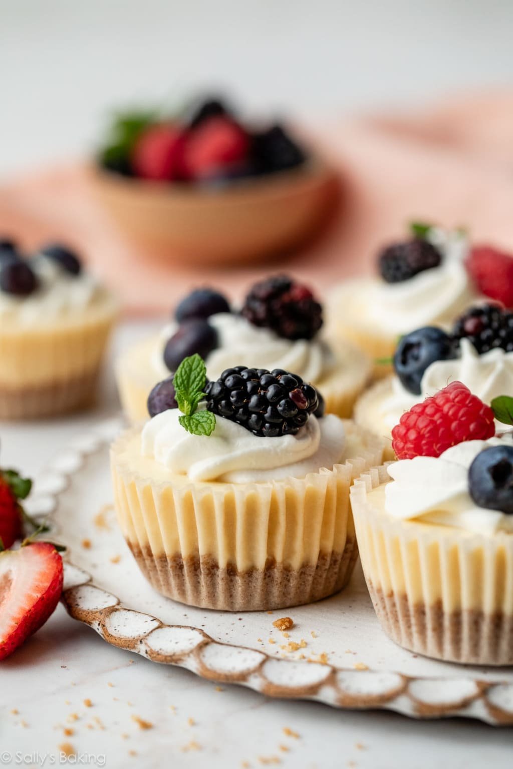 Mini Cheesecakes (in a Normal Muffin Pan) - Recipesedge