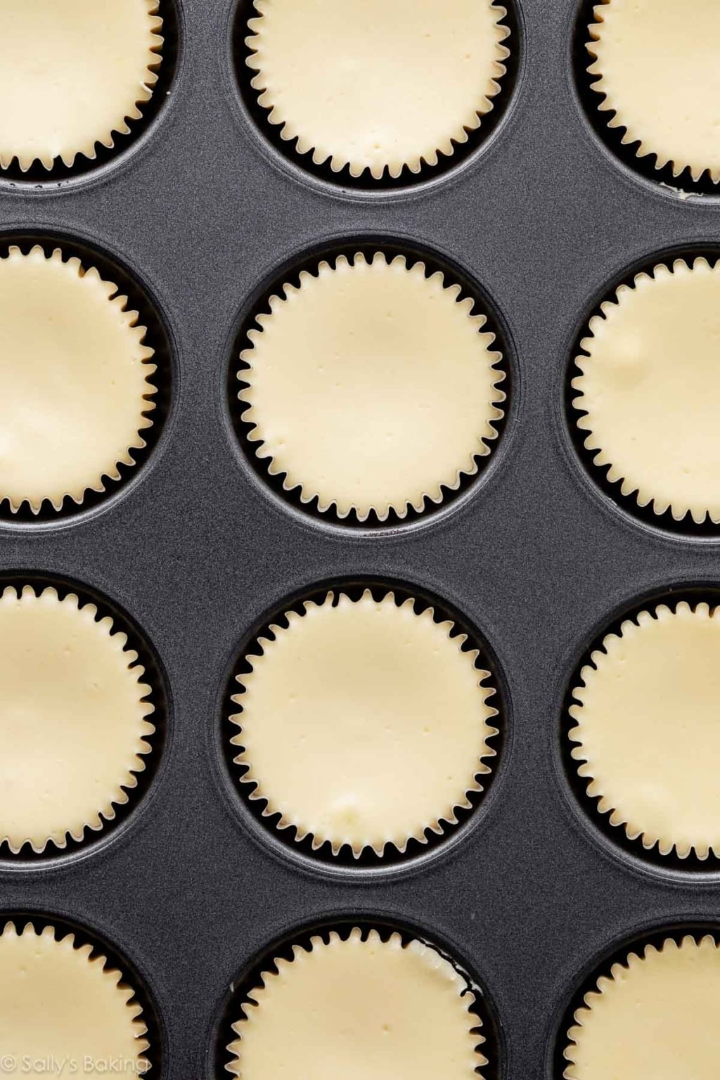 Mini Cheesecakes (in a Normal Muffin Pan) - Recipesedge