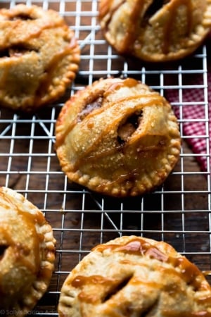 Apple Hand Pies - Sally's Baking