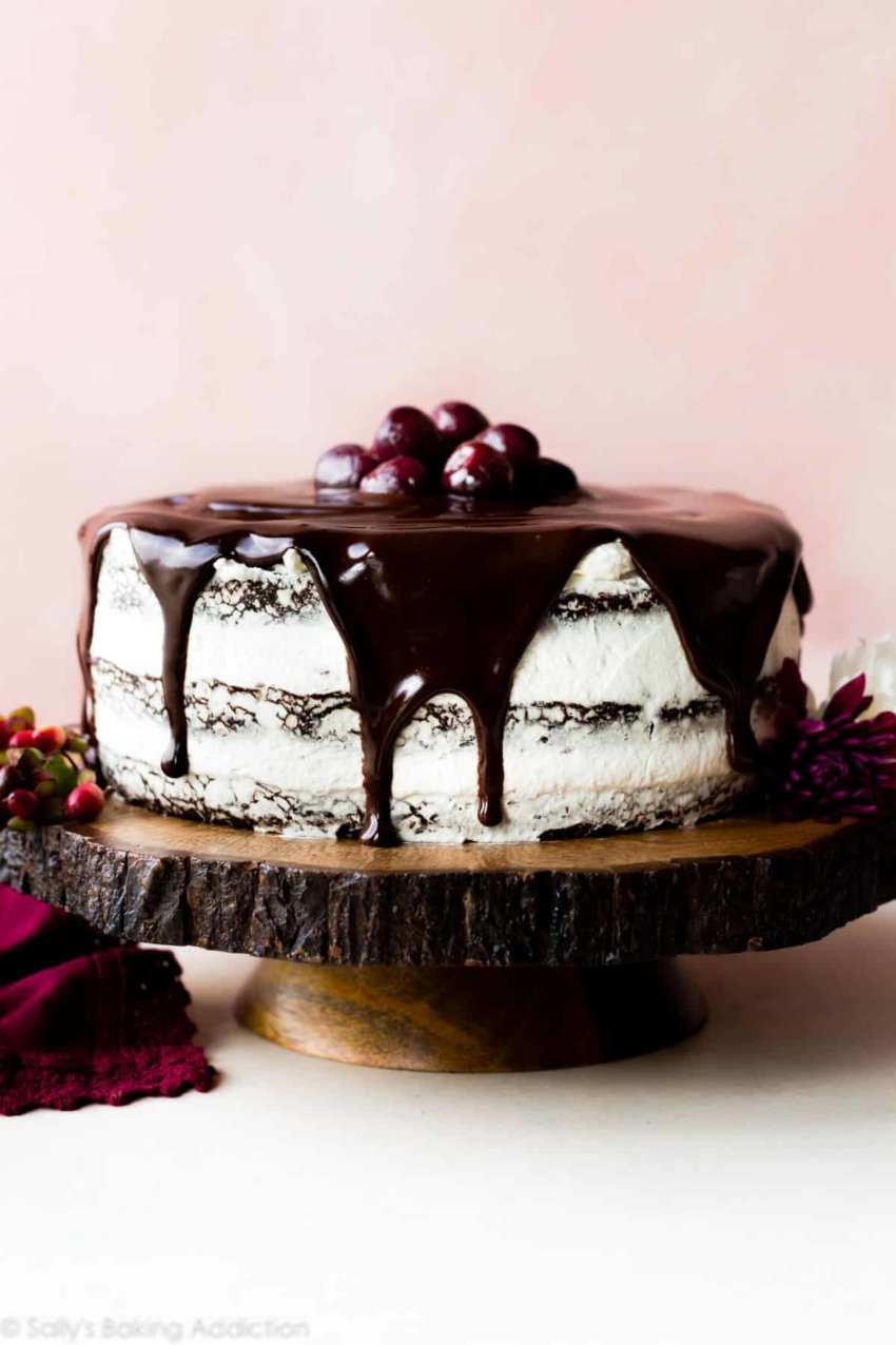 Chocolate Raspberry Cake - Sally's Baking