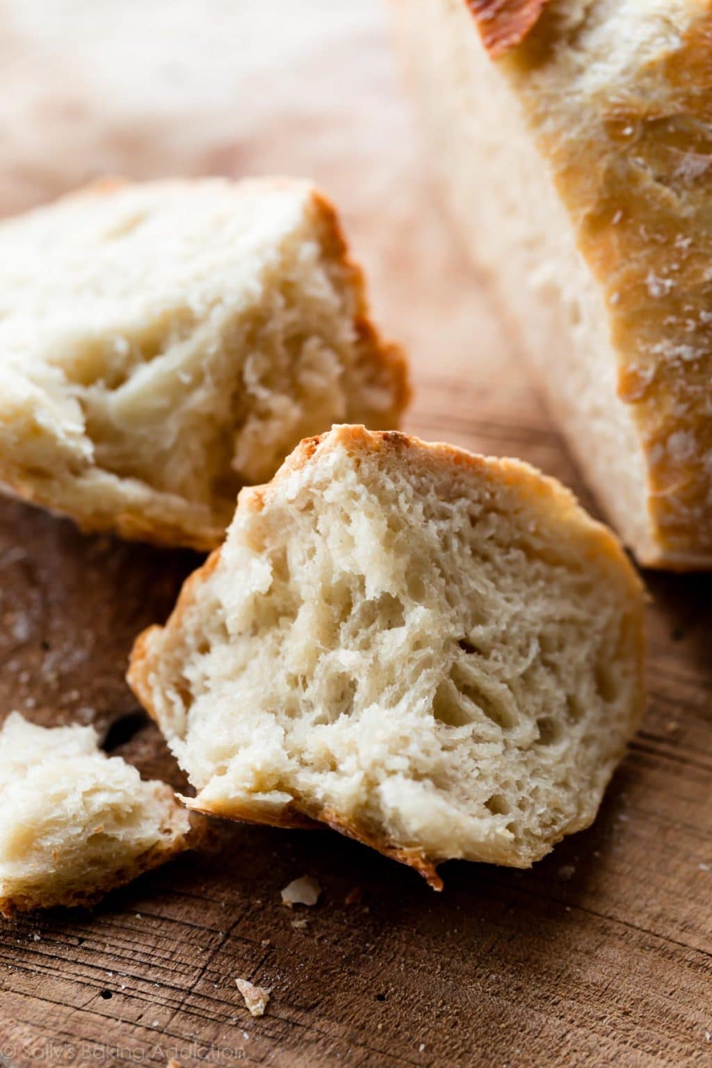 Baking with Yeast Guide - Sally's Baking