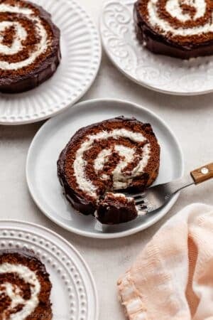 Chocolate Cake Roll (Swiss Roll) - Sally's Baking