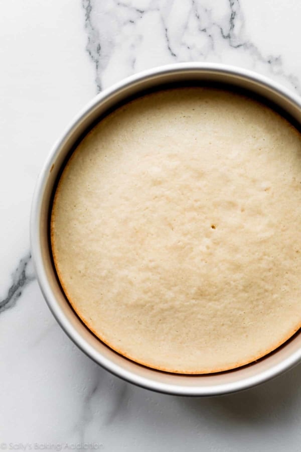 One Layer Strawberry Shortcake Cake - Sally's Baking