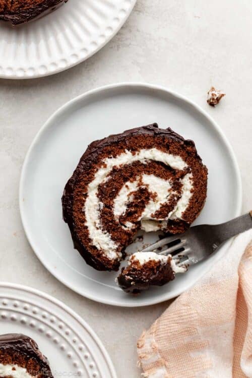Chocolate Cake Roll (Swiss Roll) - Sally's Baking