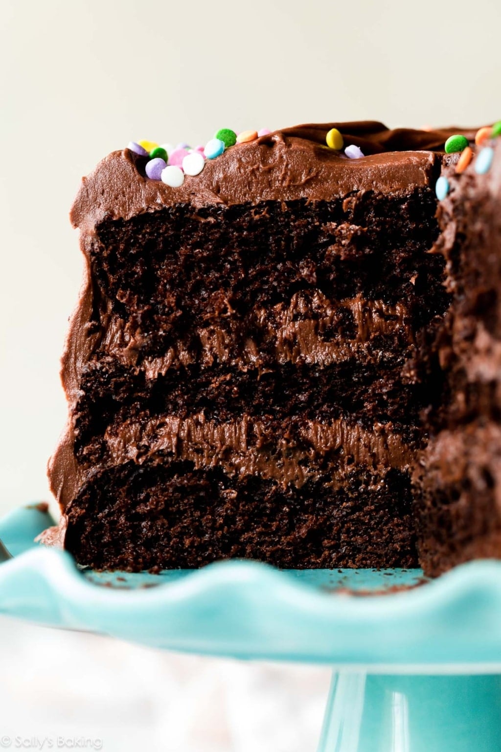 How to Prevent a Dry or Dense Cake - Sally's Baking