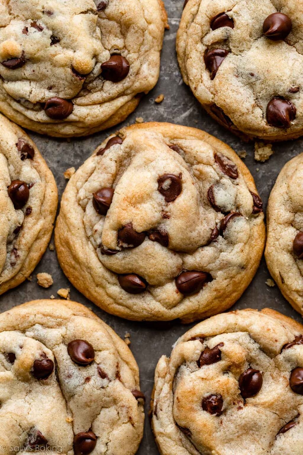 Best Chocolate Chip Cookies (Popular Recipe!) - Sally's Baking