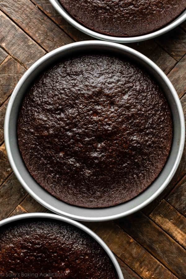 Chocolate Raspberry Cake - Sally's Baking