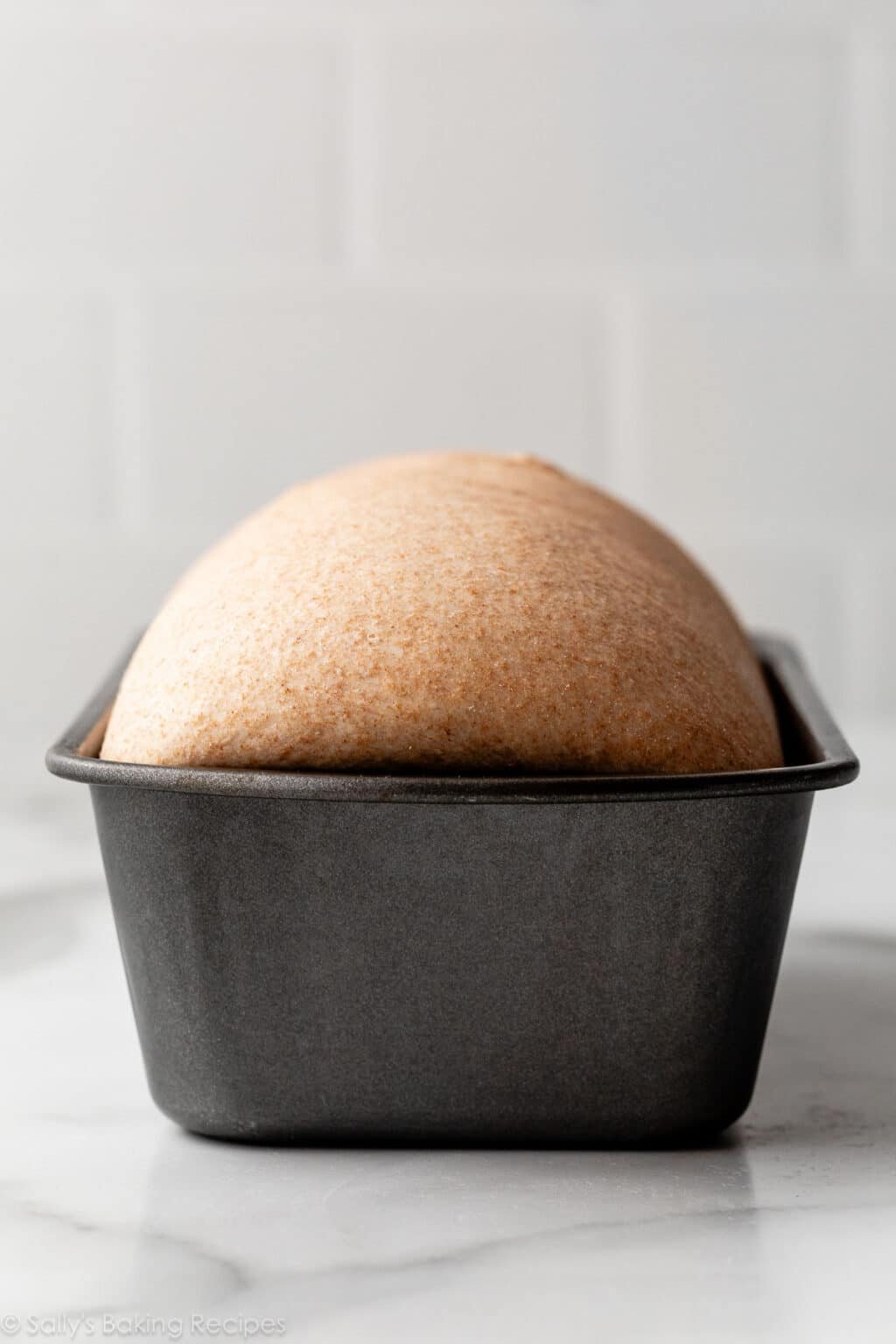 8-Ingredient Whole Wheat Bread (Soft & Hearty) - Sally's Baking