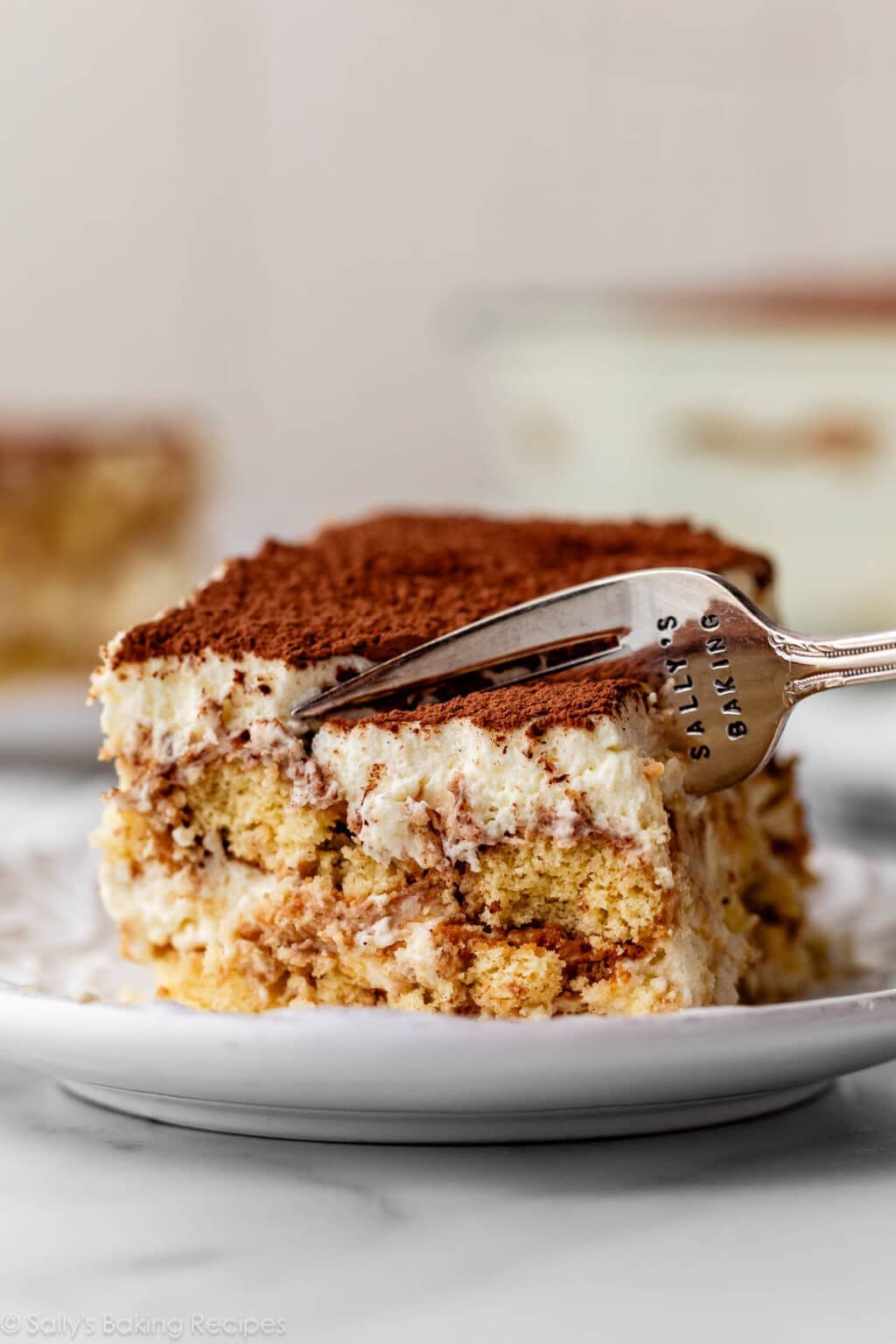 Tiramisu Recipe (Recipe & Video) - Sally's Baking