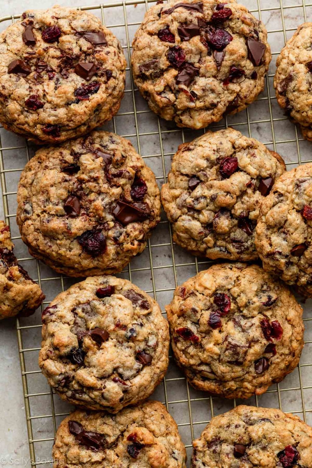 Big Fat Dark Chocolate Cranberry Oatmeal Cookies - Sally's Baking